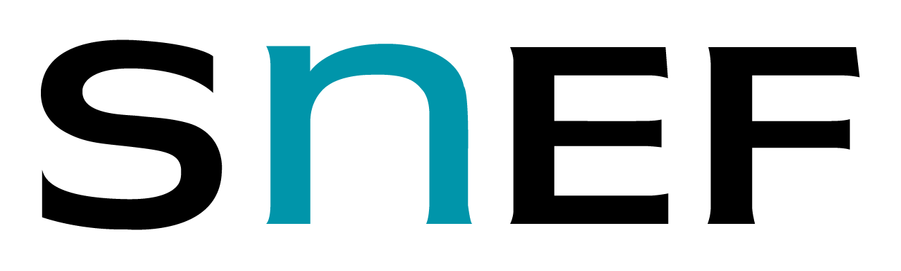 Certifié CEFRI E 443 : SNEF | CEFRI